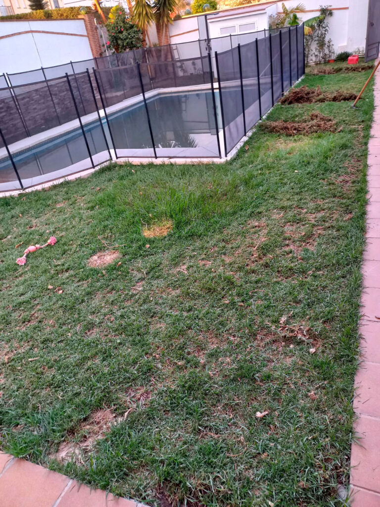 Consejos Útiles Para Preparar El Terreno Para Poner Césped Artificial ...