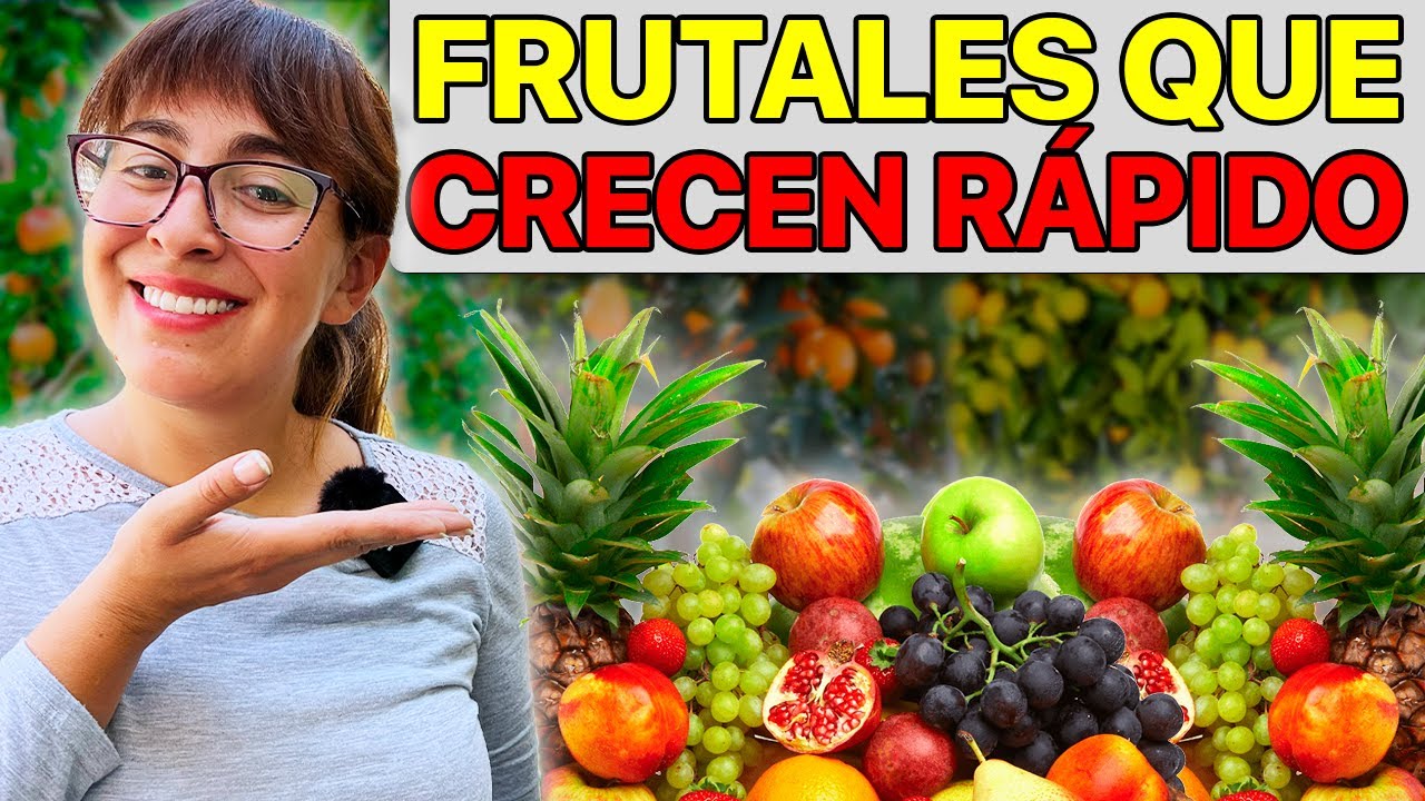 ¿Cuáles son las plantas frutales que crecen más rápido? - Nucleo Jardin