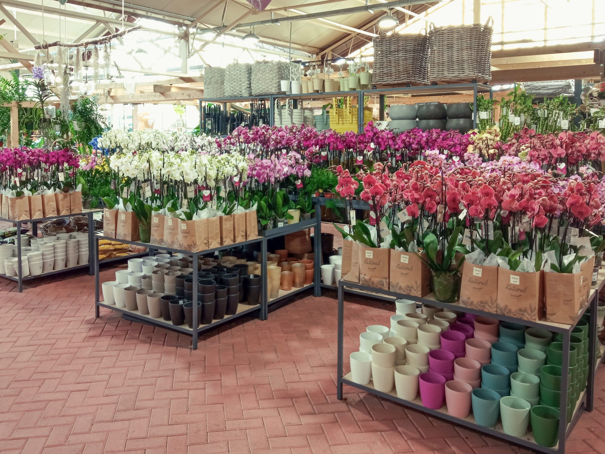 Fotos de la fronda de San Sebastián de los Reyes - Nucleo Jardin